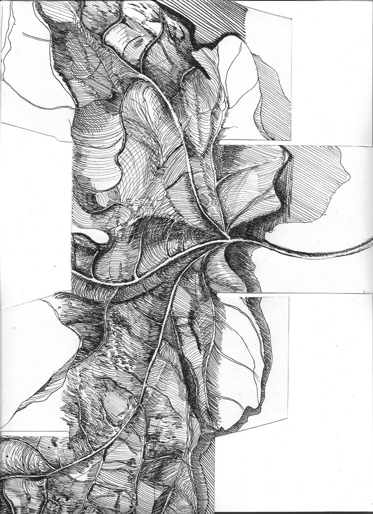 About Peter – Peter Goff